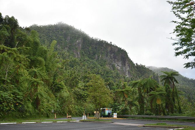El Yunque Rainforest Guided Day Tour from San Juan - Authentic Experiences and Noteworthy Highlights