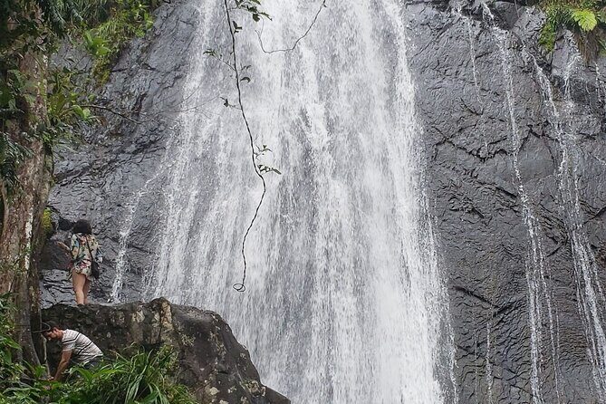 El Yunque Rainforest Guided Tour - Final Thoughts