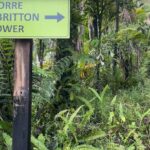 El Yunque Rainforest Hike with Transport from San Juan - The Itinerary in Detail