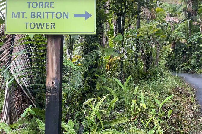 El Yunque Rainforest Hike with Transport from San Juan - The Itinerary in Detail
