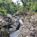 El Yunque Rainforest Morning River and Hike Adventure - What Makes This Tour Stand Out