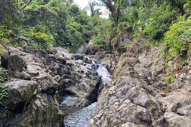 El Yunque Rainforest Morning River and Hike Adventure - What Makes This Tour Stand Out
