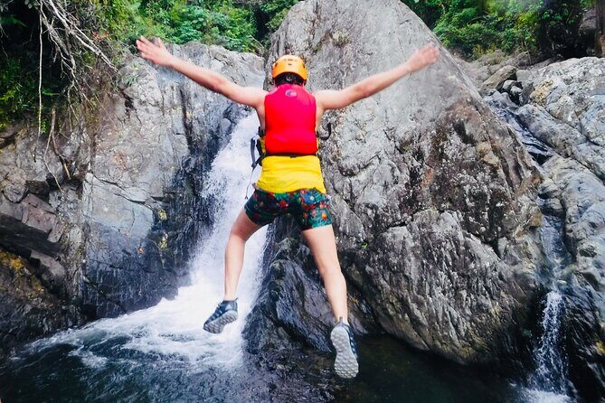 El Yunque Rainforest Tour: Natural Waterslides Adventure - The Itinerary: What You’ll Do and See