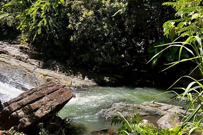 El Yunque Rainforest Waterslides and Luquillo Beach Tour - Practical Details: What to Expect