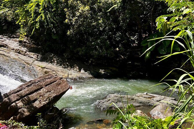 El Yunque Rainforest Waterslides Transport from San Juan - What It’s Like to Experience It