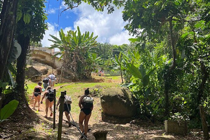 El Yunque Waterslide and Waterfall Tour with Food and Photos - Final Thoughts: Why Choose This Tour?