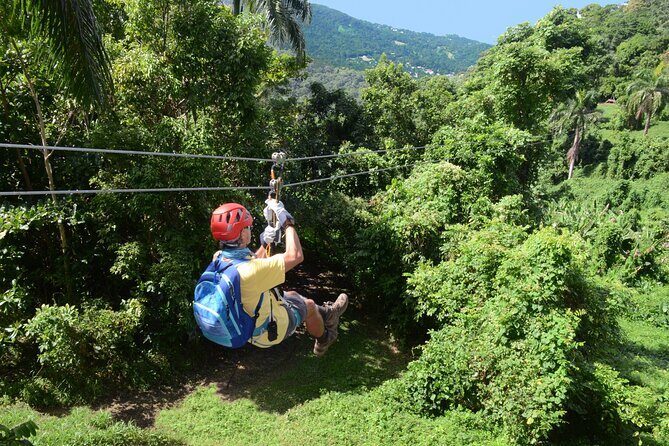 El Yunque Ziplining in Puerto Rico - Practical Tips for Future Visitors