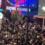 Electric Mushroom: Nightclub VIP Entry & Free Cocktail - The Itinerary and What You’ll Experience