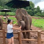 Elefin Farm & Cafe Half-day tour with Private Car - What Past Travelers Say