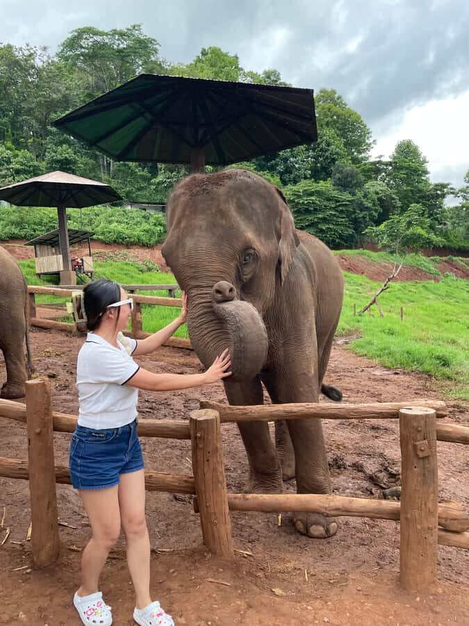 Elefin Farm & Cafe Half-day tour with Private Car - What Past Travelers Say