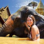 Elephant care with Wat Umong, Doi Suthep and Night City view - What Makes This Tour Stand Out?