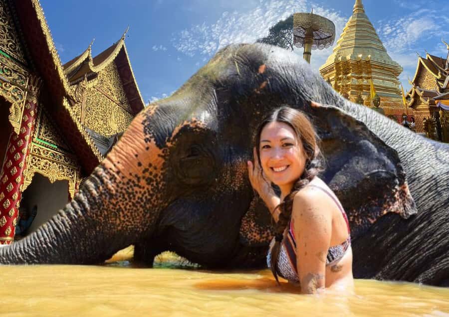 Elephant care with Wat Umong, Doi Suthep and Night City view - What Makes This Tour Stand Out?