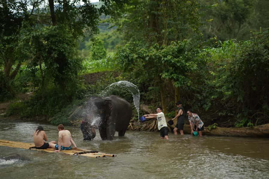 Elephant Eco Park Free Entry & ATV, Raft & Waterfall, Tribe - Detailed Breakdown of the Tour Experience