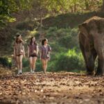 Elephant Sanctuary with Thai Cooking Experience in Chiang Mai - What Makes This Tour Stand Out?