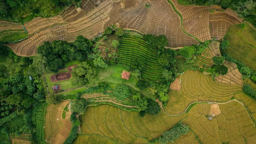 Ella: 3-Day Tour with Village Experience and Meals - Practical Considerations