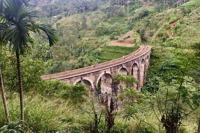 Ella 3 Icons Private Tour - Authentic Reviews from Participants