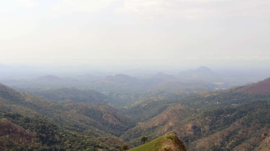 Ella: City Tour with Lunch, Nine Arch Bridge & Waterfall - Why Choose This Tour