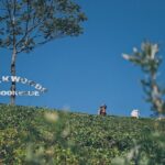 Ella Day Tour with Tea Factory All Inclusive Tour from Hambantota - A Closer Look at the Itinerary