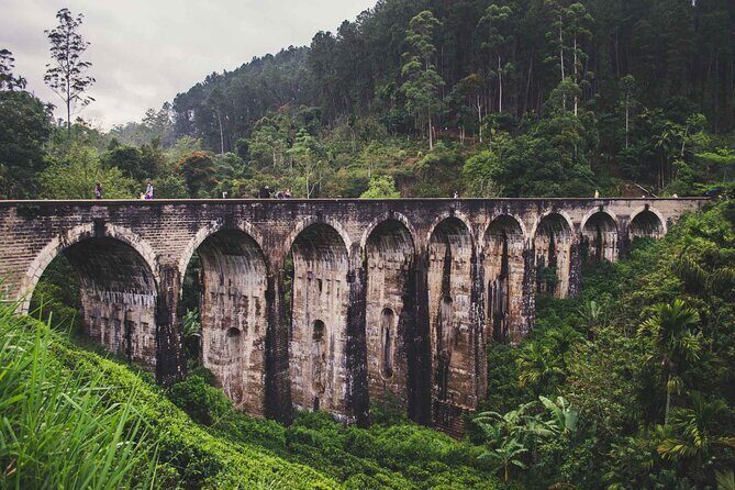 Ella Day Tour with Tea Factory visit from Bentota - Key Points