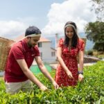 Ella Experience with Picturesque Tea Estate and Train Journey - Practical Details and What They Mean for You