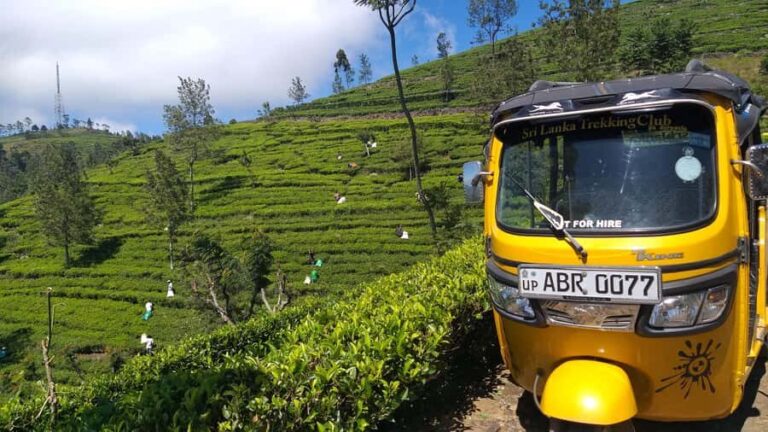 Ella-Haputae Tea Plantation Safari By Tuk Tuk & Liptons Seat - Visiting a Working Tea Plantation