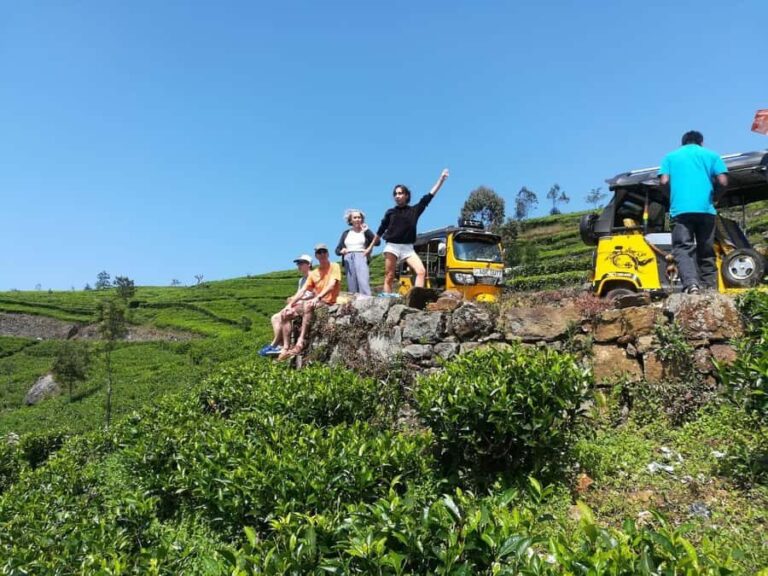 Ella Haputae Tea Plantation Safari By TukTuk & Cooking Class - An In-Depth Look at the Day