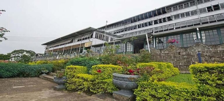 Ella : Liptons Seat, Tea Factory & Adisham Bungalow Tour - The Itinerary Breakdown