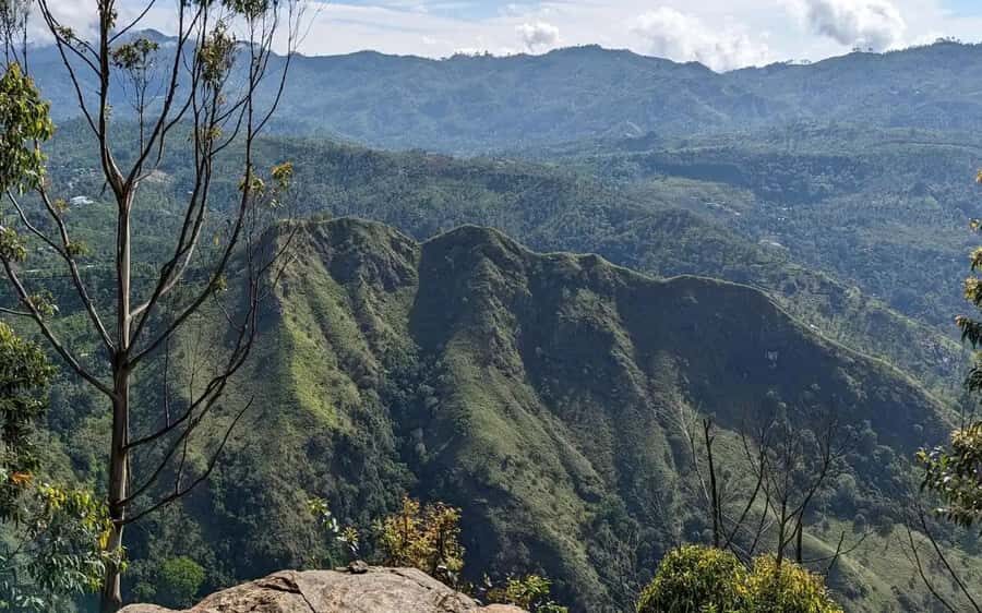 Ella: Pekoe Trail Stage 15 Guided Hike (Makulella to Ella) - Who Would Love This Tour?