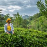 Ella: Pekoe Trail Stage 16 Guided hike (Ella-Demodara) - What the Tour Includes and Its Value