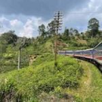 Ella Scenic Train Journey: Reserved E Tickets from Ambewela - Who Will Love This Journey?