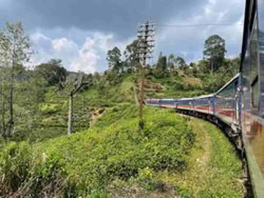 Ella Scenic Train Journey: Reserved E Tickets from Ambewela - Who Will Love This Journey?