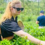 Ella Tea Making Experience Tour With Tasting & Snacks - Who Will Love This Tour?