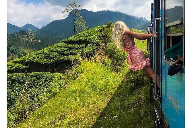 Ella to Ambewela Scenic Train Journey with Reserved Seats Ticket - Why This Trip Is a Good Value