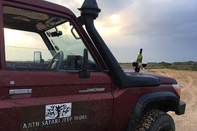 Ella to Tangalle/Hiriketiya/Mirissa/Galle Shuttle & Yala Safari - Transportation & Group Size