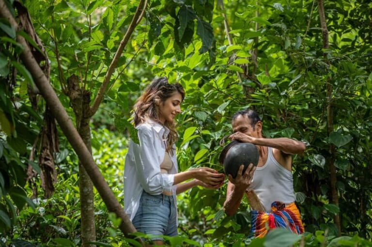 Ella: Traditional Village Life by Jeep with Cooking Class - Who Would Love This Tour?