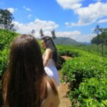 Ella: Ultimate Experience with Cooking Class & Hike - Who Will Love This Tour?