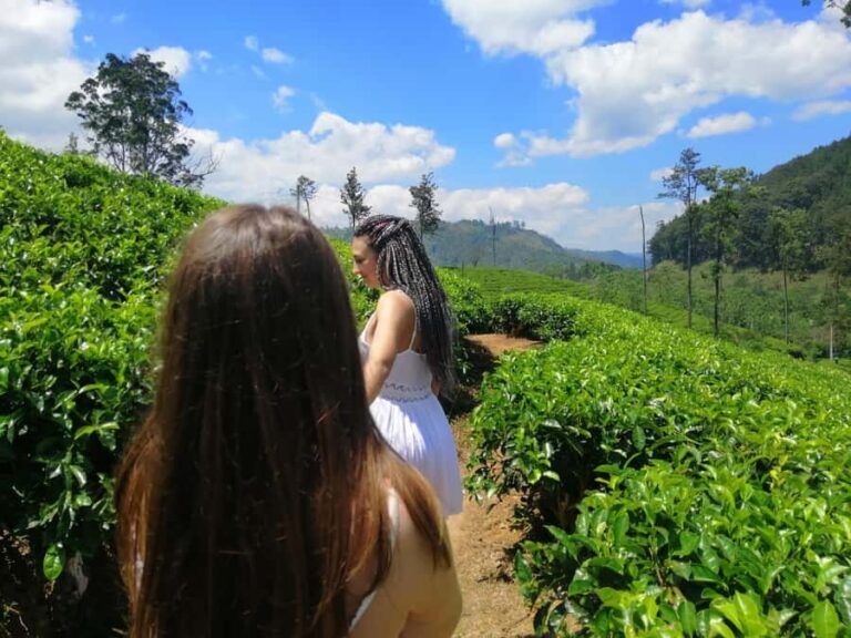 Ella: Ultimate Experience with Cooking Class & Hike - Who Will Love This Tour?