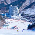 Elysian Gangchon Winter Ski + Eobi Ice Valley Day Tour fr Seoul - Value and Practical Considerations