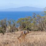 Emountain Bike Tour Maui | Experience Tour  Private Ranch - What Travelers Say