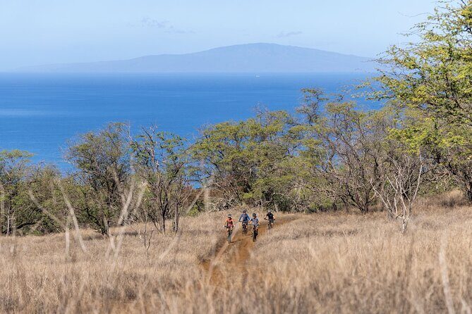 Emountain Bike Tour Maui | Experience Tour  Private Ranch - What Travelers Say