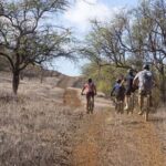 Emountain Bike Tour Maui | Grand Tour  Private Ranch - FAQ