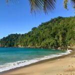 Englishman's Bay Day Trip with Lunch - In-Depth Tour Breakdown