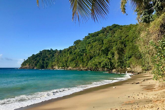 Englishman's Bay Day Trip with Lunch - In-Depth Tour Breakdown