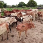 Enjoy 10 cultural activities of India all at one place in Delhi - The Sum Up