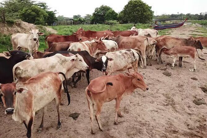 Enjoy 10 cultural activities of India all at one place in Delhi - The Sum Up