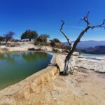 Enjoy Boil the Water and manufacture mezcal from Oaxaca - Final Thoughts