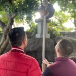 Enjoy Cultural Downtown and Traditional Cuisine from Tokyo - Practical Aspects and Values