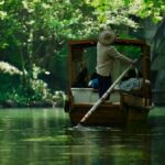 Enjoy Hangzhou Like Lords: West Lakes Boat, Tea, Painting - The Scenic Boat Ride: Quiet Waters and Natural Beauty