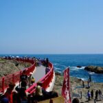 Enoshima Island Full-Day Private Tour from Tokyo (Customizable) - The Value of the Experience