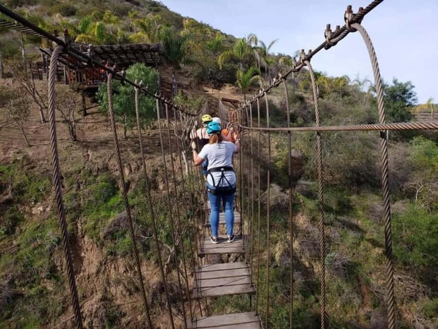 Ensenada: Las Cañadas Zipline and Suspension Bridge Tour - The Bottom Line: Who Should Consider This Tour?